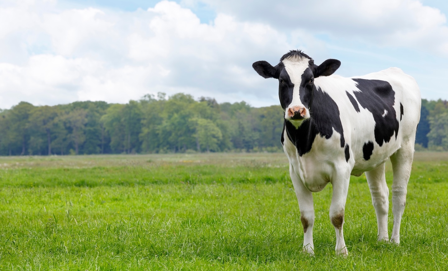 Walmart Sustainability Hub